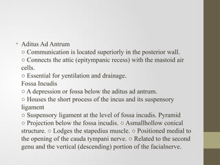 ANATOMY OF MIDDLE EAR CLEFT ms ent pg level.pptx