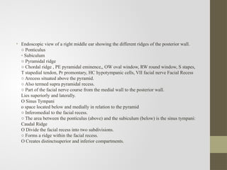 ANATOMY OF MIDDLE EAR CLEFT ms ent pg level.pptx
