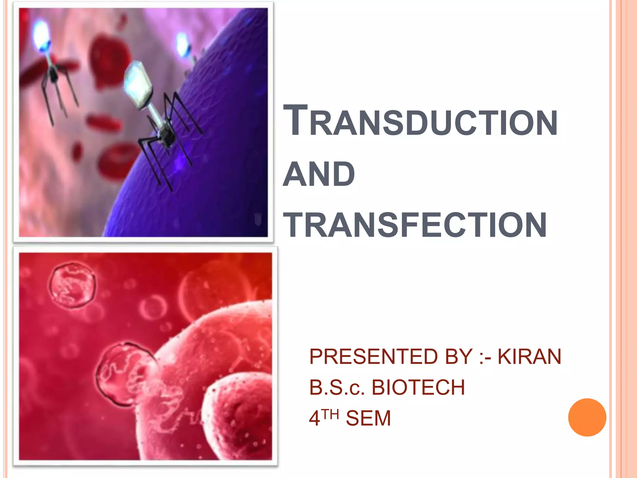 transduction and transfection | PPTX