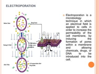 transduction and transfection | PPTX
