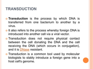 transduction and transfection | PPTX