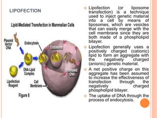 transduction and transfection | PPTX | Biological Sciences | Science