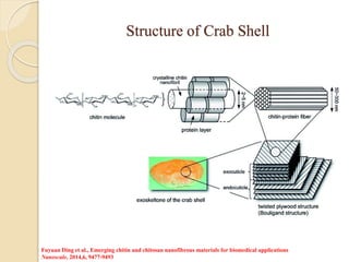 a modified process for deprotenization of green crab | PPTX | Chemistry ...