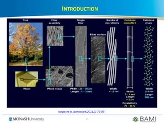 Barrier Performance of Nanocellulose-Nanoclay composite | PPTX | Chemistry | Science