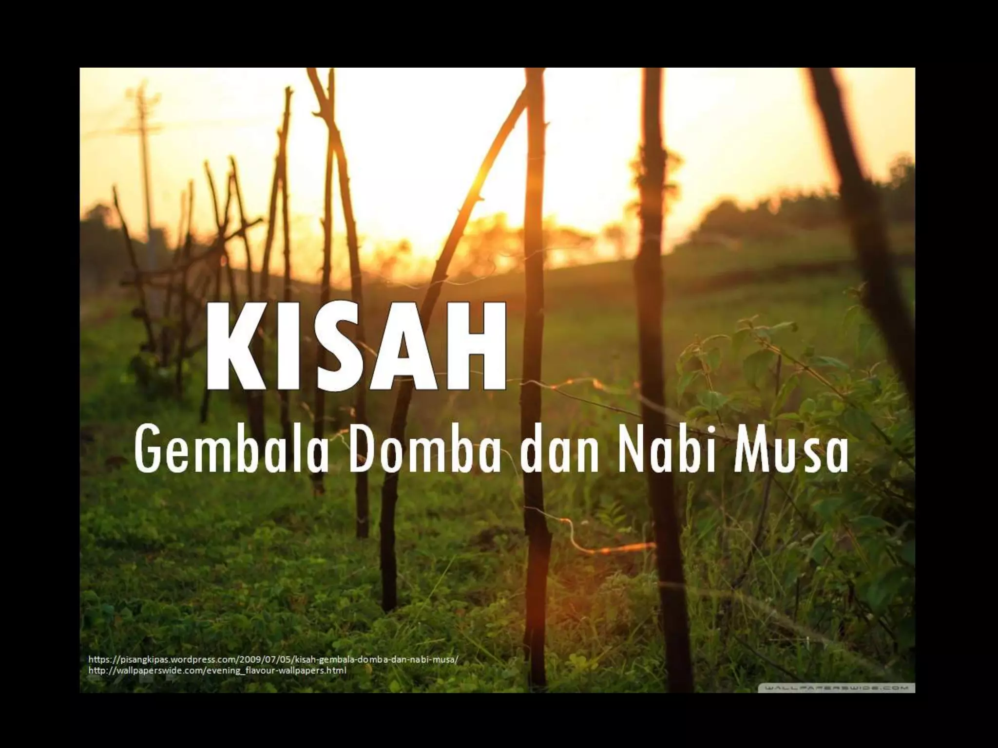 Kisah Gembala Domba dan Nabi Musa | PPT