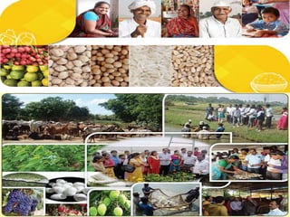 KISAN Call CENTER.pptx