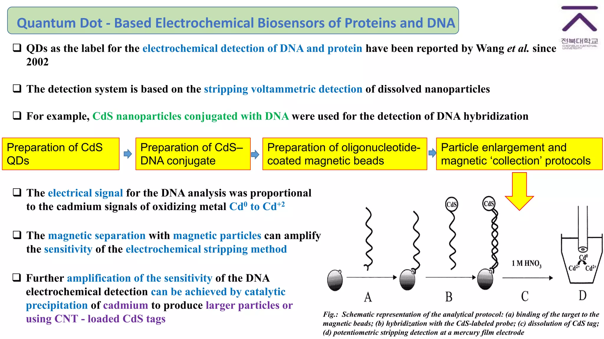 SEMICONDUCTOR QUANTUM DOTS FOR ELECTROCHEMICAL BIOSENSOR | PPTX