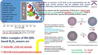SEMICONDUCTOR QUANTUM DOTS FOR ELECTROCHEMICAL BIOSENSOR | PPTX