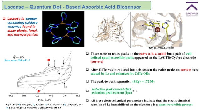 SEMICONDUCTOR QUANTUM DOTS FOR ELECTROCHEMICAL BIOSENSOR | PPTX | Chemistry | Science
