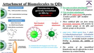 SEMICONDUCTOR QUANTUM DOTS FOR ELECTROCHEMICAL BIOSENSOR | PPTX