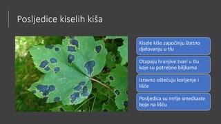 Kisele kiše - Roberto Zelenika.pptx