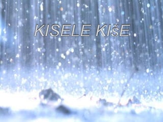 Kisele Kise Pptx