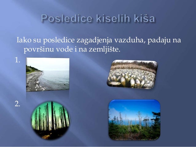 Kisele Kise