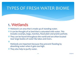 FRESH WATER BIOME | PPTX