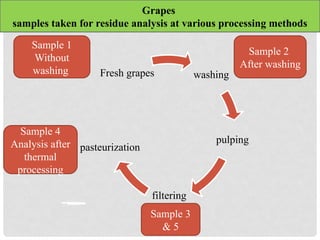 FATE OF INSECTICIDES IN GRAPES AND PROCESSED PRODUCTS .pptx