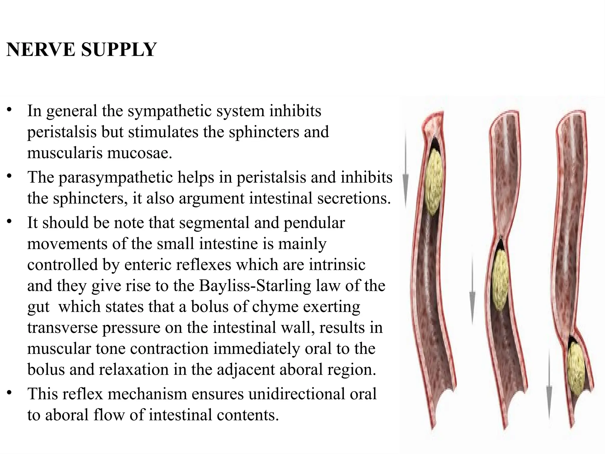 Intestinal obstruction surgery final.pptx