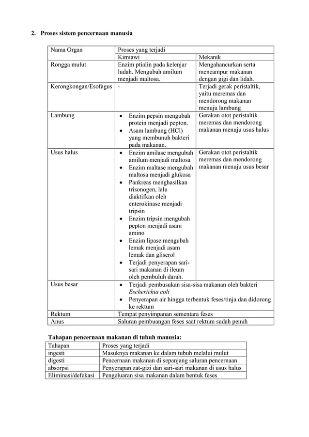 Kisi2 aulia sahabat.docx