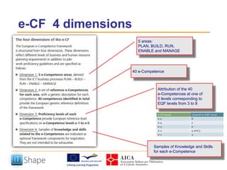 The presence and the future: from EUCIP Core to e-CF plus | PPTX