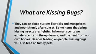 Kissing bugs | PPTX