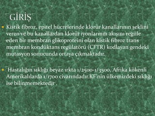 Ki̇sti̇k fi̇brozi̇s Patogenez-Tanı-Klinik-Tedavi | PPTX