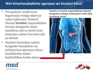 KISUKARI.ppt