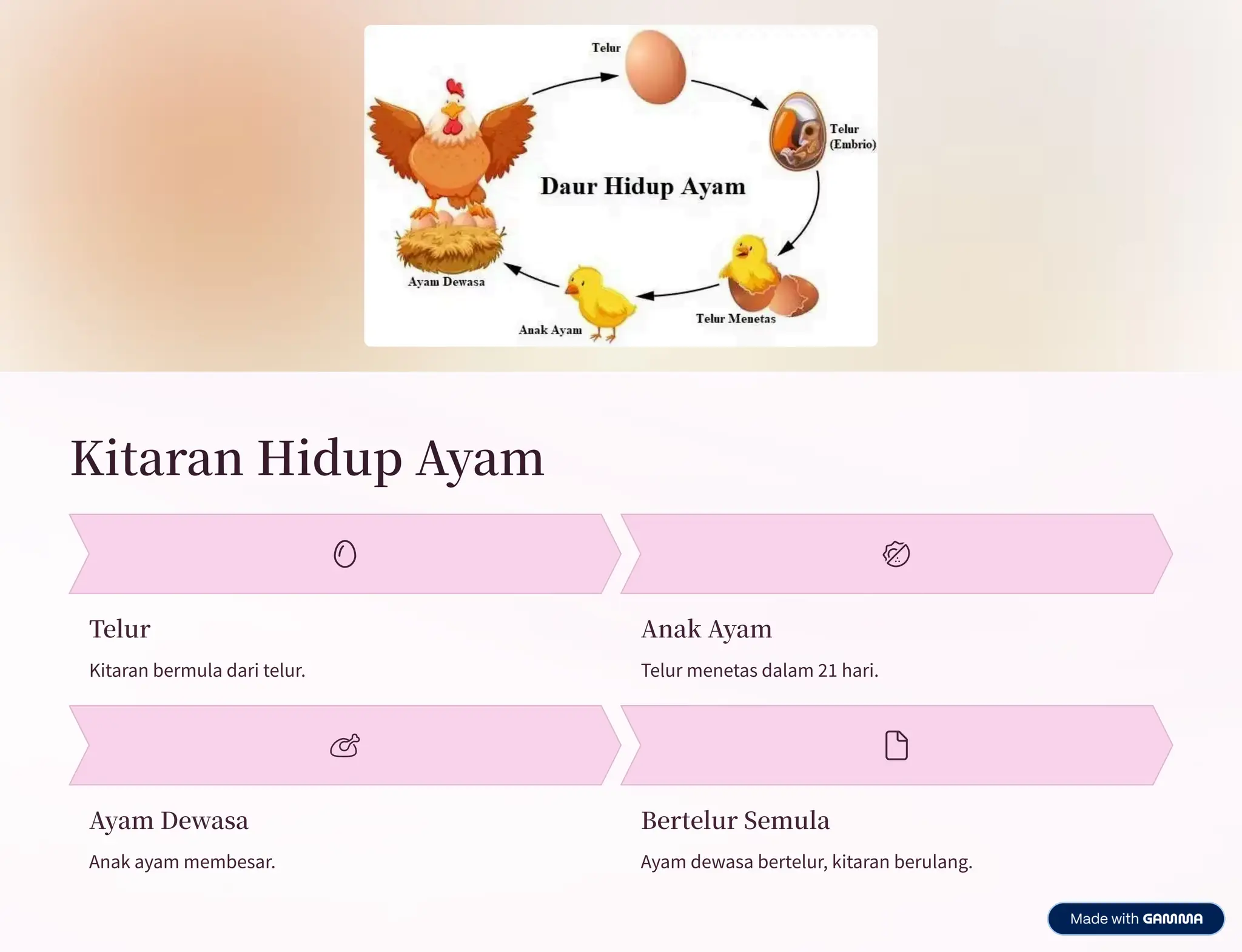 Kitaran Hidup Haiwan Sains tahun 2A sekolah rendah | PDF