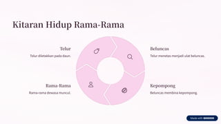 Kitaran Hidup Haiwan Sains tahun 2A sekolah rendah | PDF