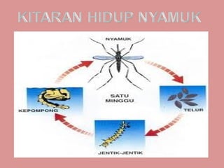 Kitaran haiwan | PPT