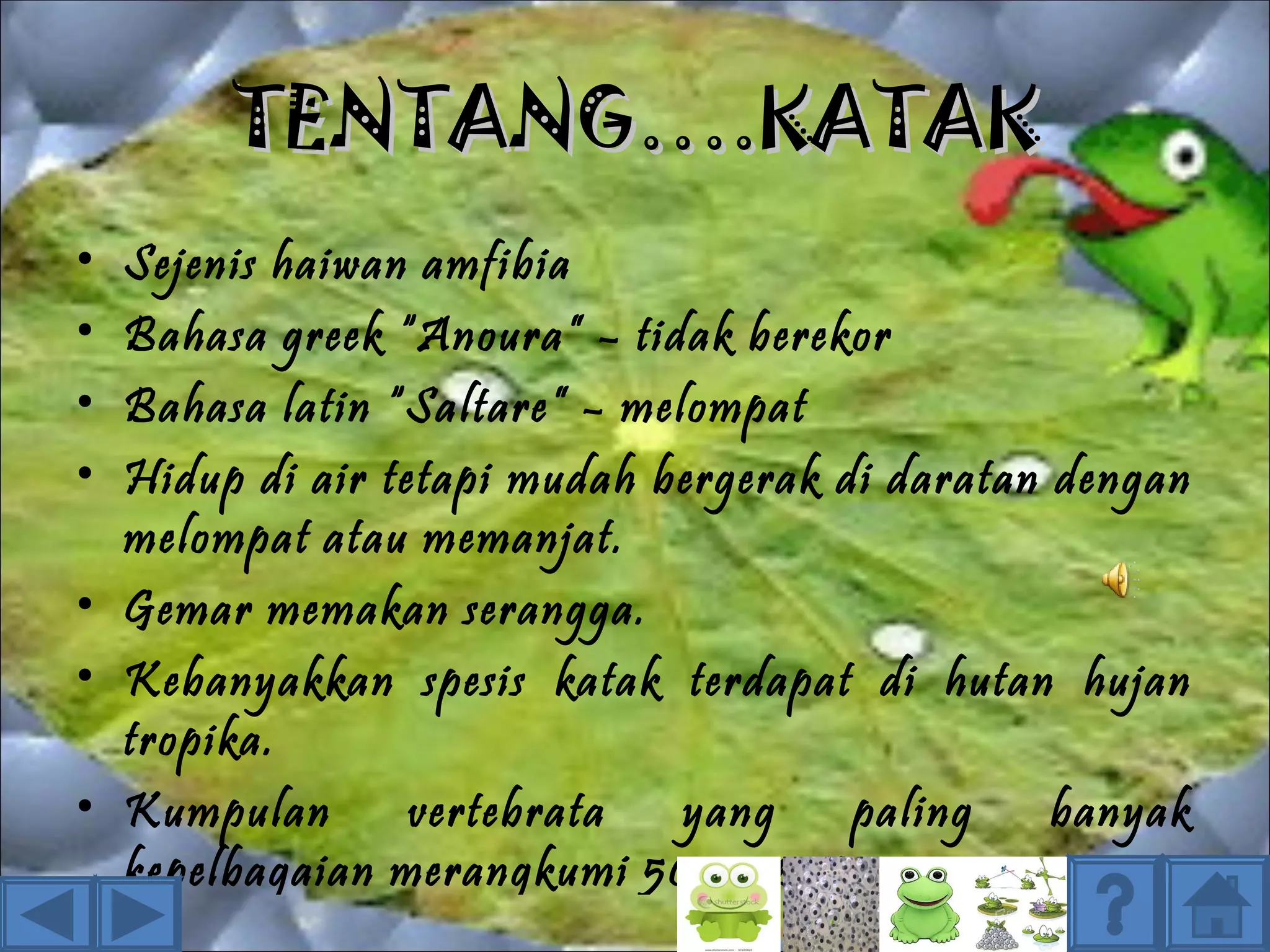 Kitaran hidup katak | PPT