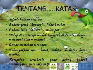 Kitaran hidup katak | PPT