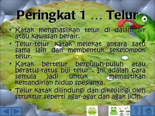 Kitaran hidup katak | PPT