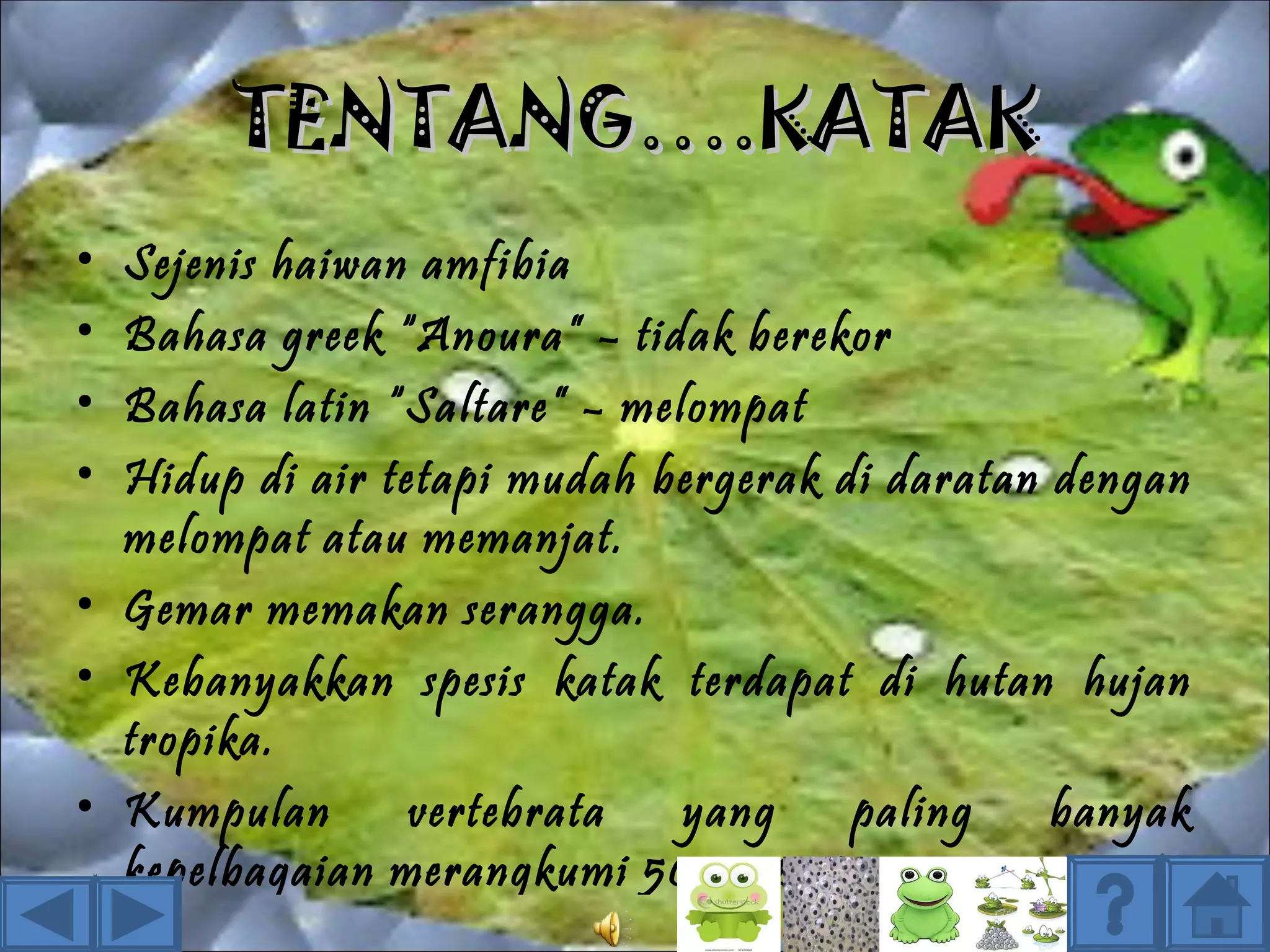 Kitaran hidup katak | PPT
