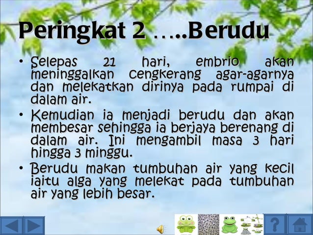 Kitaran hidup katak | PPT