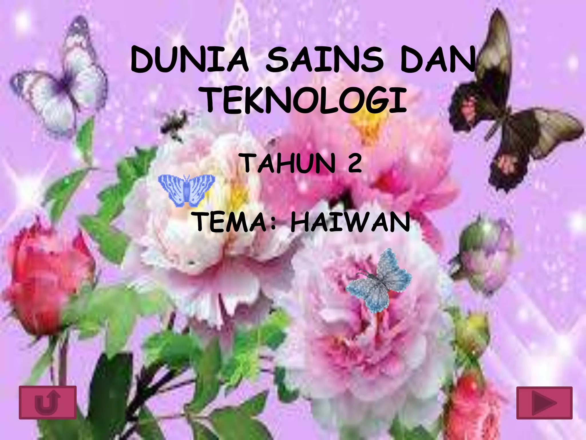 Kitaran hidup rama rama 3 | PPTX