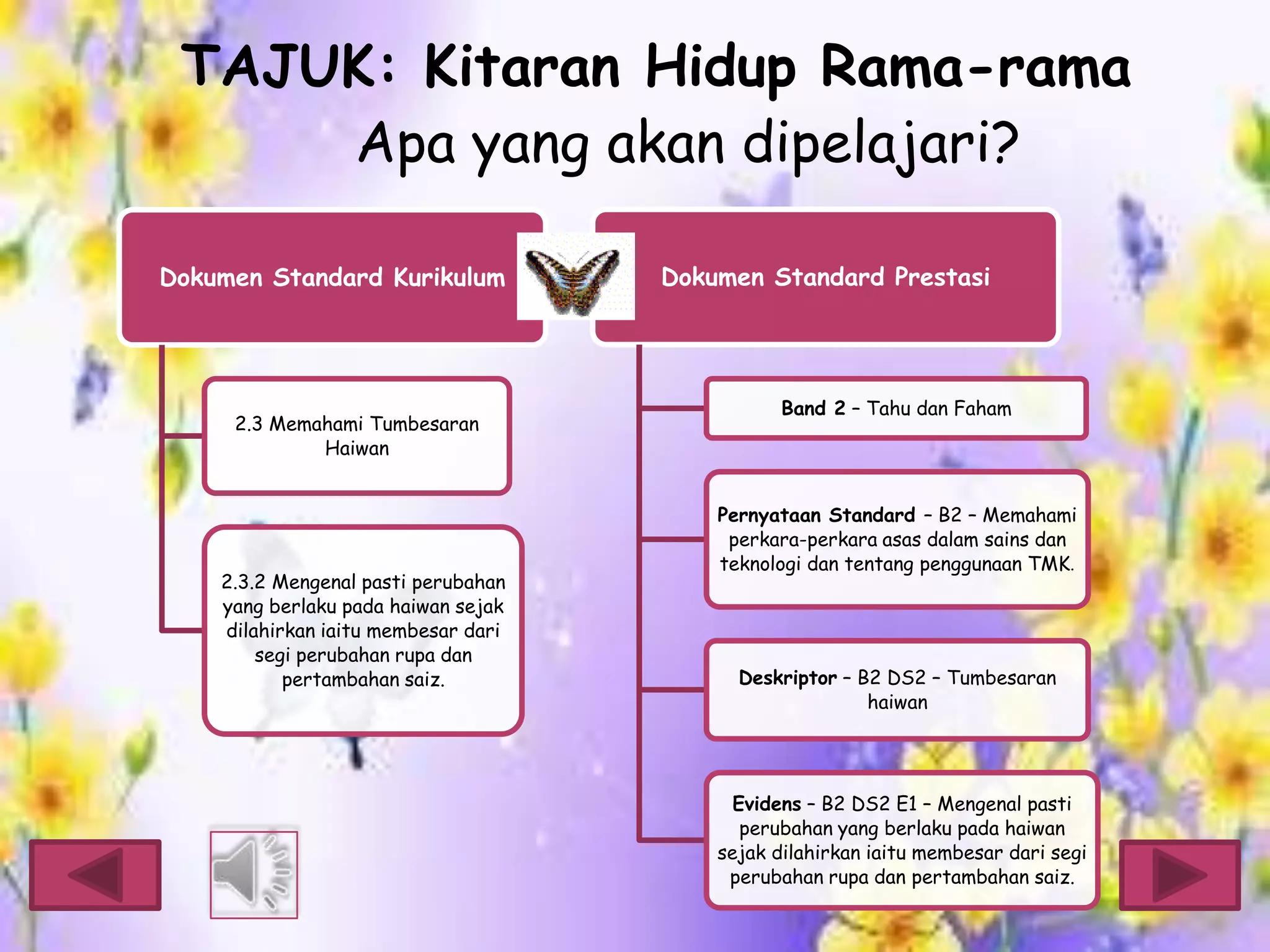 Kitaran hidup rama rama 3 | PPTX