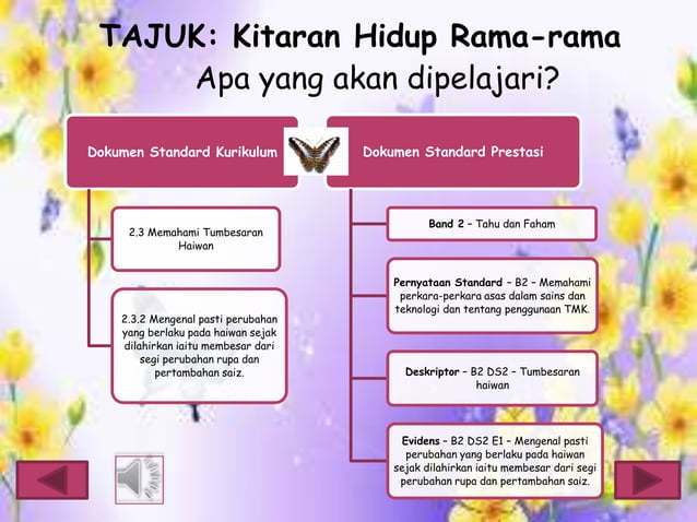 Kitaran hidup rama rama 3 | PPTX