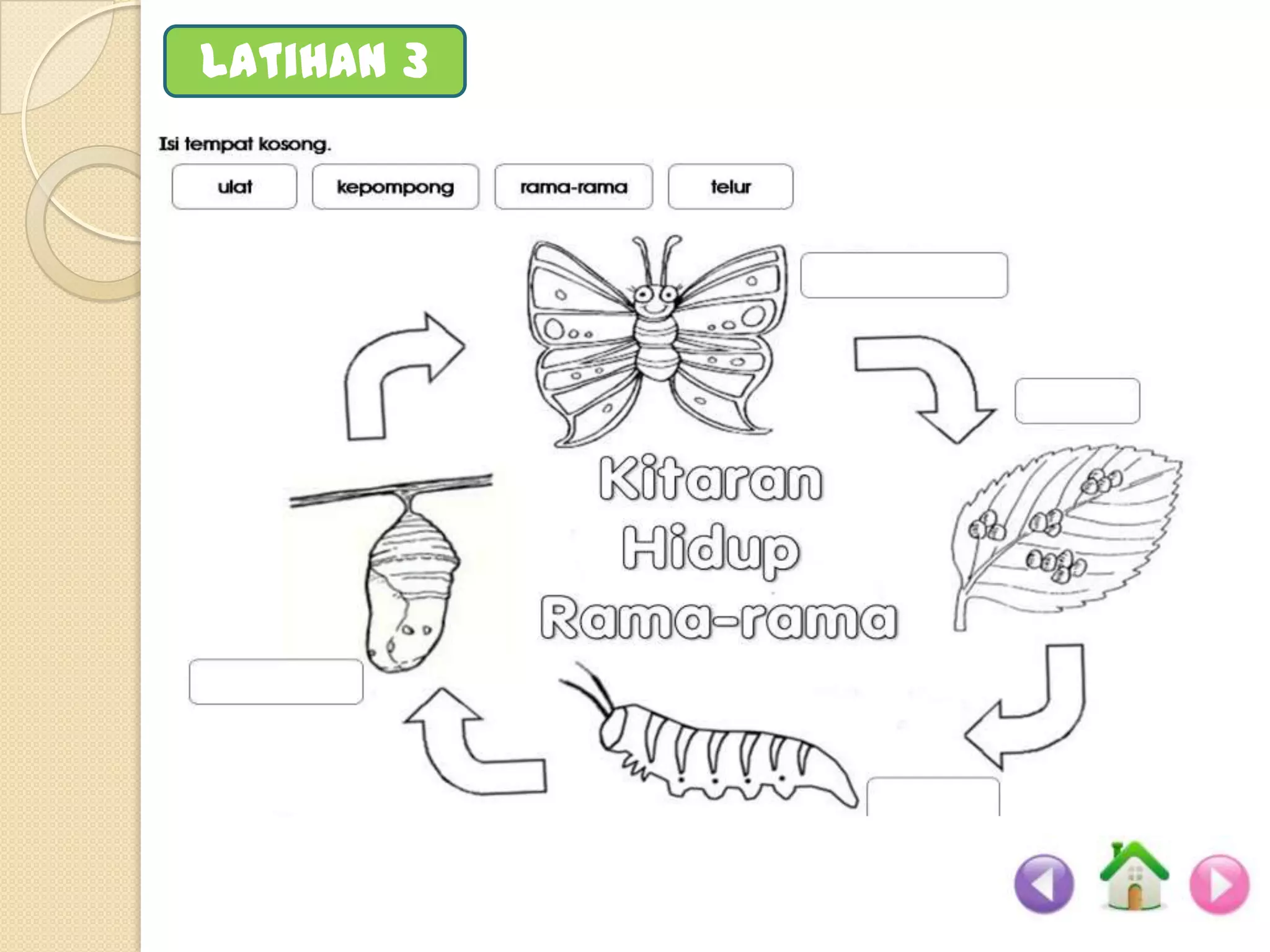 Kitaran hidup rama rama .slideshow | PPSX