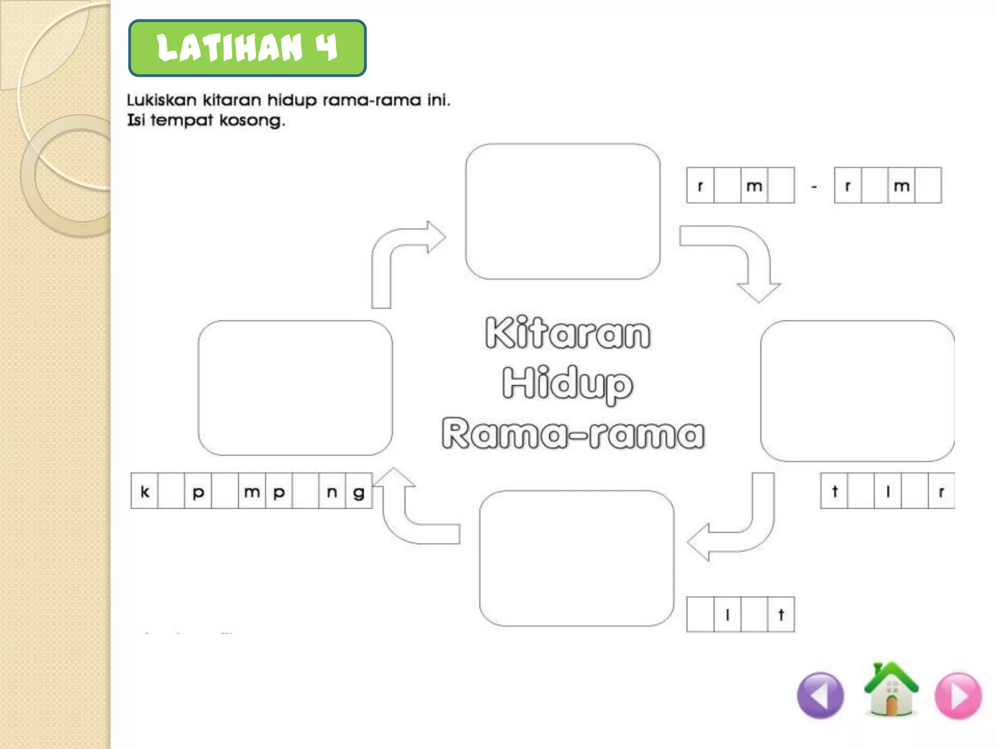 Kitaran hidup rama rama .slideshow | PPSX