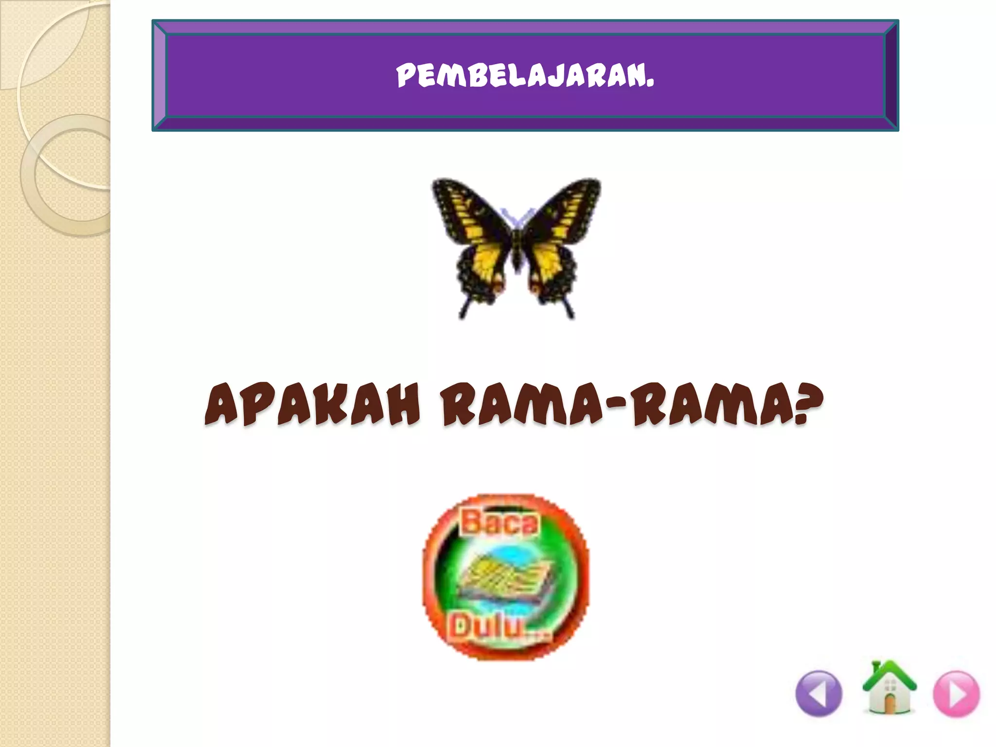 Kitaran hidup rama rama .slideshow | PPSX