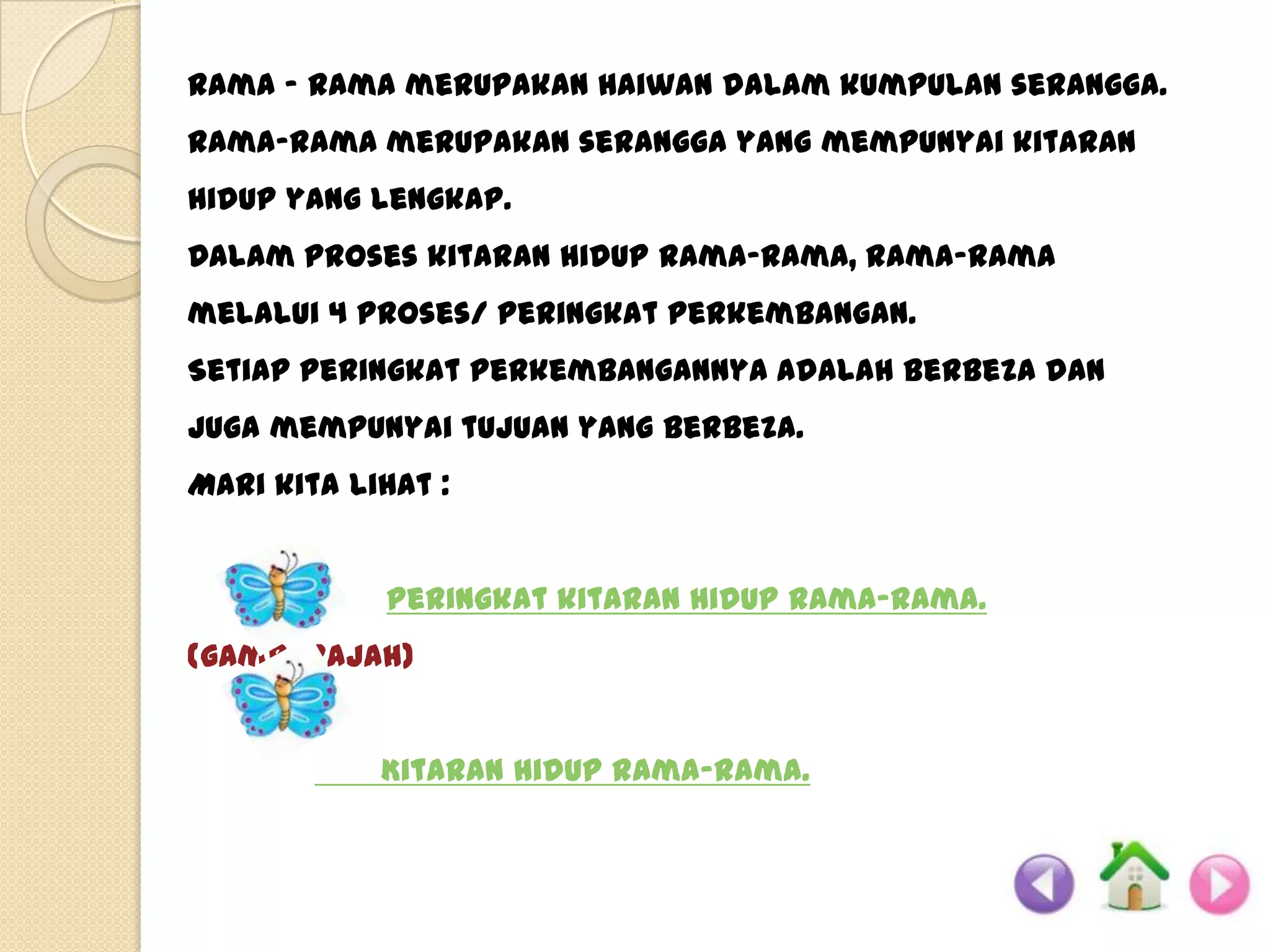 Kitaran hidup rama rama .slideshow | PPSX