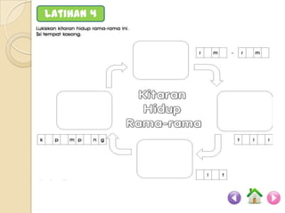 Kitaran hidup rama rama .slideshow | PPSX