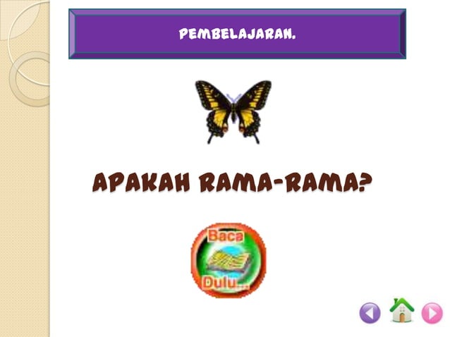 Kitaran hidup rama rama .slideshow | PPSX