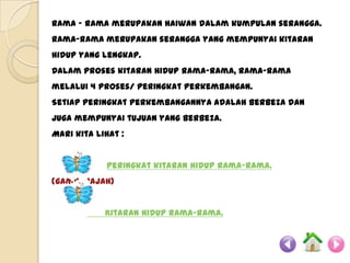 Kitaran hidup rama rama .slideshow | PPSX