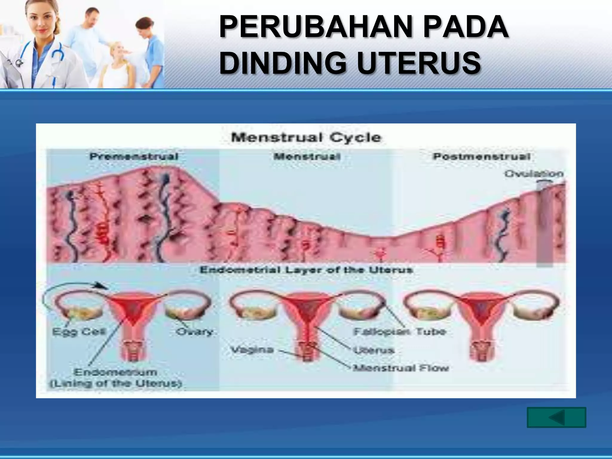 Kitar haid | PPTX