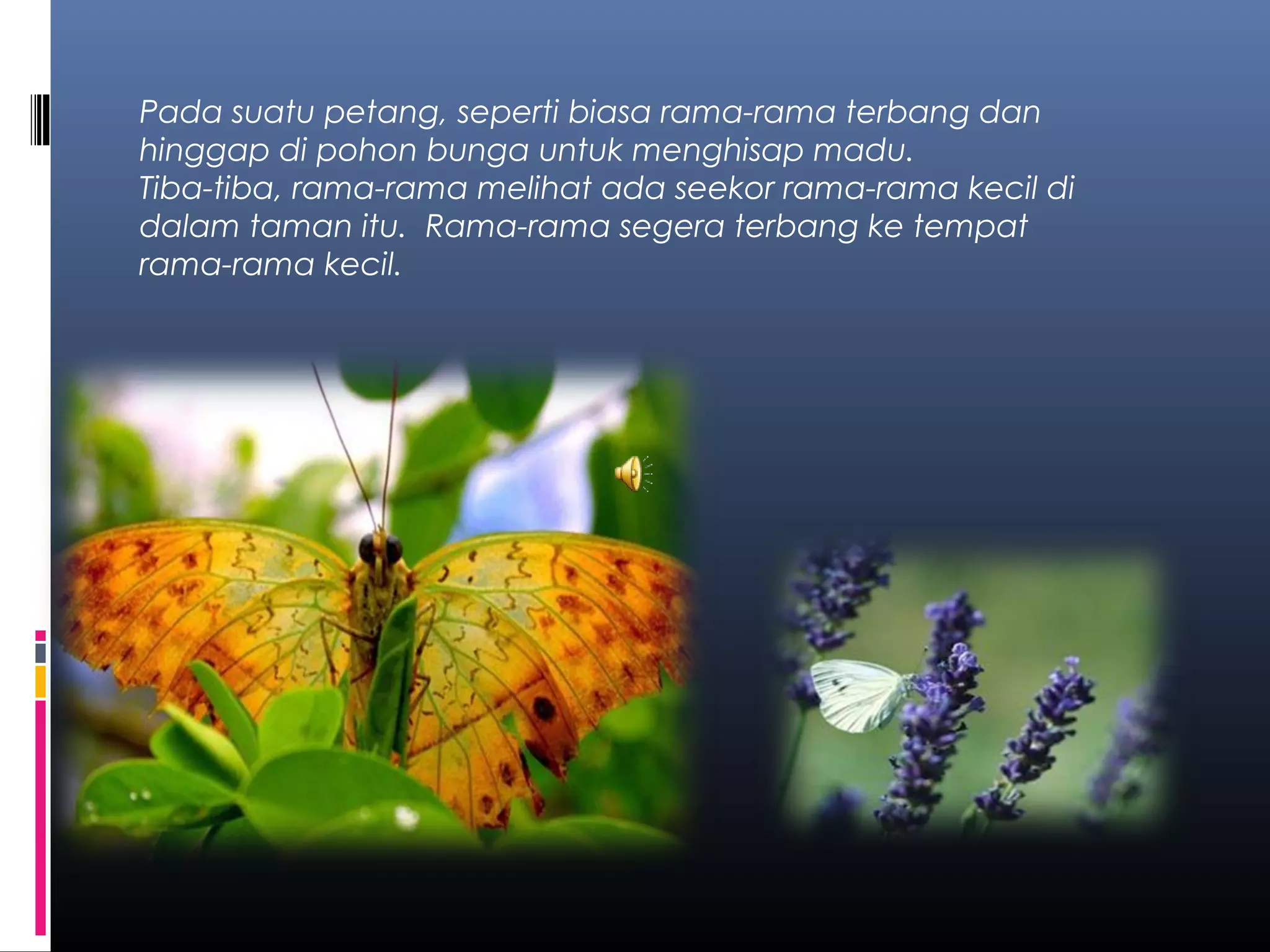 Kitar hidup rama rama | PPT