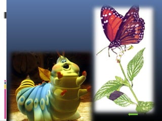 Kitar hidup rama rama | PPT