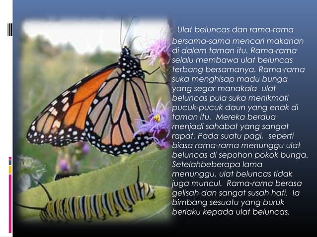 Kitar hidup rama rama | PPT