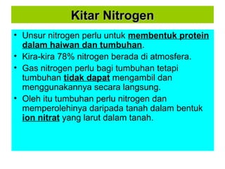 Kitar nitrogen | PPT