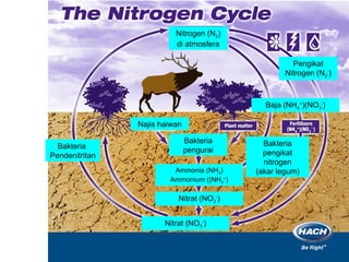 Kitar nitrogen | PPT