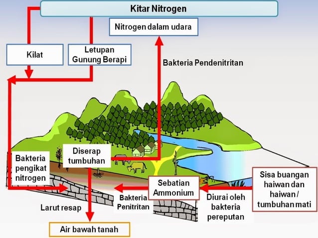 FORM 5 BAB 2 : KITAR NITROGEN | PPT